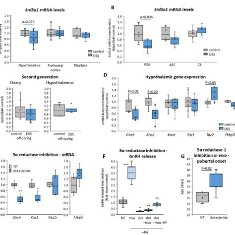 5α Reductase 1 Regulates The Central Control Of Reproduction And