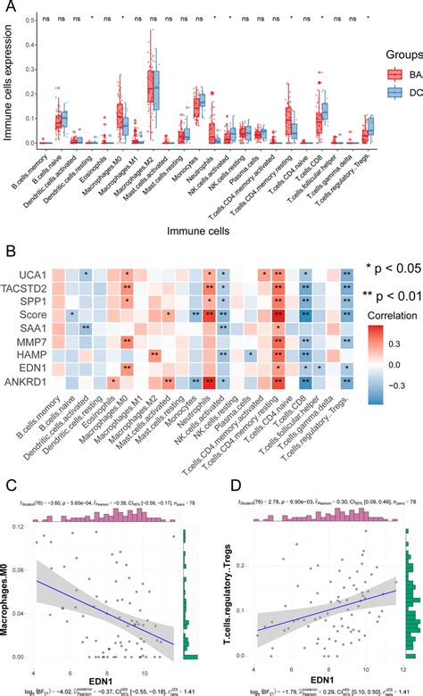 Immune Infiltration Analysis A Differential Infiltration Of 22 Immune Download Scientific