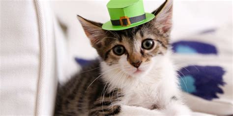 Python Flask Vs Bottle German Dev Community