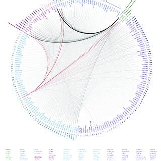 Chord Diagram Of Statistics And Connectivity Of Words Used In The Download Scientific Diagram