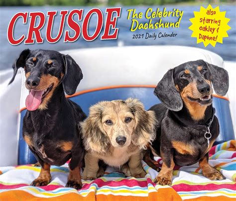 Crusoe The Celebrity Dachshund 2021 Box Calendar Dog Breed Calendar