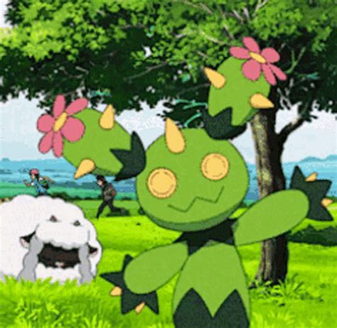 Maractus Unova  Maractus Unova Wooloo Discover And Share S