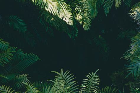 how to create a microservice to send email with celery python flask and redis using gmail api