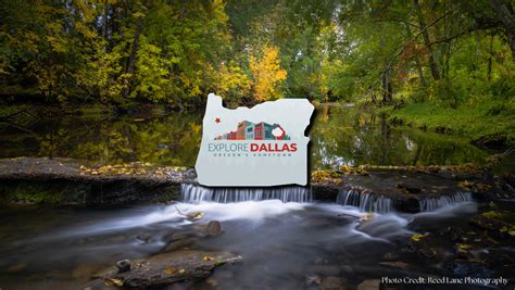 Cedar And Root Cedar And Root Added A New Photo