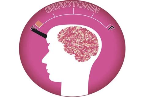 New Evidence For A Serotonin Deficiency In Depression Assignment Point