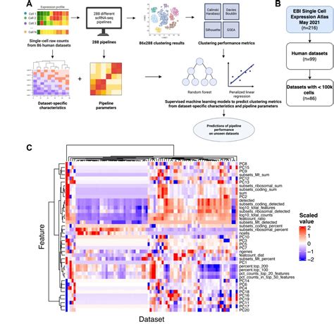 Could The Optimal Pipeline Be Predicted For A Given ScRNA Seq Dataset RNA Seq Blog