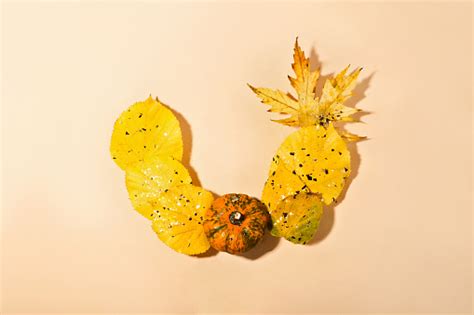 노란 잎과 작은 장식 호박에서 테두리 반짝이는 황금 빛빛 은 잎 텍스트 또는 디자인공간을 복사합니다 수평 광프라피 가을 수확의 개념 아늑한 분위기 10월에 대한 스톡 사진