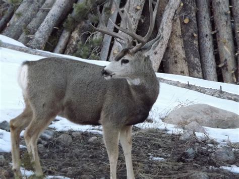 Notes From The Underground