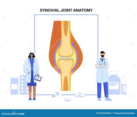 Synovial Joint Poster Vector Illustration 307546320