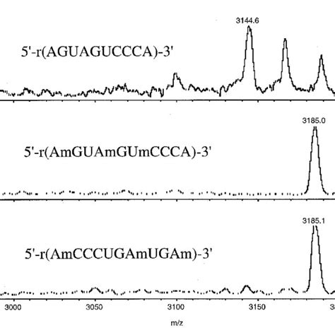 The Nomenclature For The Fragmentation Of Oligonucleotides With Mass Download Scientific