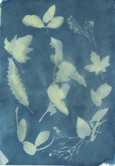 Cyanotype Texture Photos Download The Best Free Cyanotype Texture