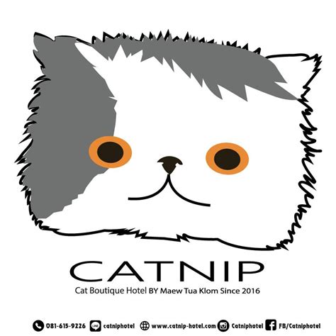 🏡ℂ Catnip Cat Hotel โรงแรมแมวรับฝากแมว แบบห้องพักส่วนตัว Facebook