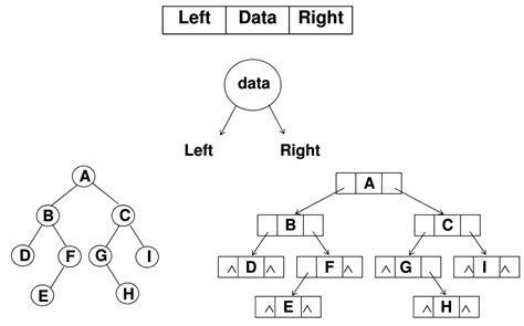 二叉树 · Java之数据结构与算法