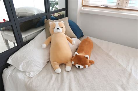 코랜 코랜은 상품과 서비스를 어떻게하면 잘 팔 수 있을지 항상 연구합니다 대구광고대행 대구인스타그램교육 대구식당광고 대구블로그교육 대구홍보대행 대구마케팅교육