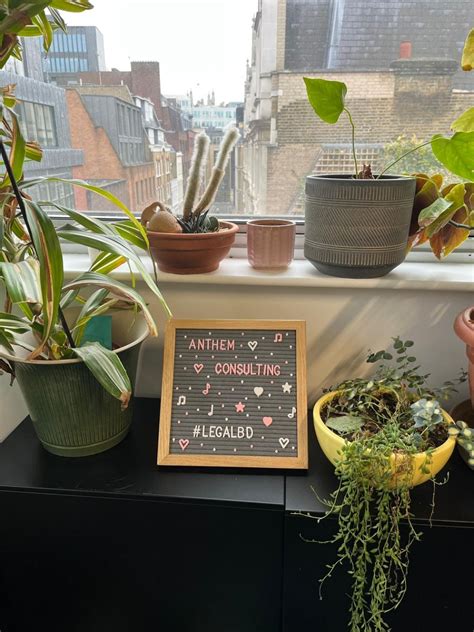 Rinku Patel ☁️ On Linkedin Anthemconsulting Businessdevelopment Marketing…