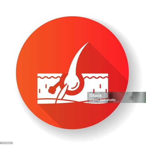 여포 빨간색 플랫 디자인 긴 그림자 문말 아이콘입니다 손상된 모발 뿌리 피부 조직에 현미경 모양 표피 문제 헤어 케어 및 피부과 탈모 치료 실루엣 Rgb 컬러 일러스트