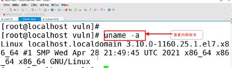 网络安全护网系列 权限维持 Linux权限提升 维持 阿里云开发者社区