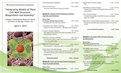 Integrating Models Of Plant Cell Wall Structure Biosynthesis And