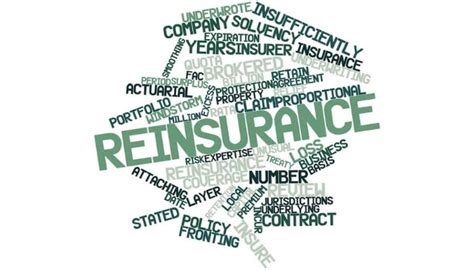 Fbs Re Positions To Boost African Market Capacity Premium Retention Businessday Ng