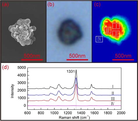 Single Cell Detection Of S Aureus By Sers Mapping Method The