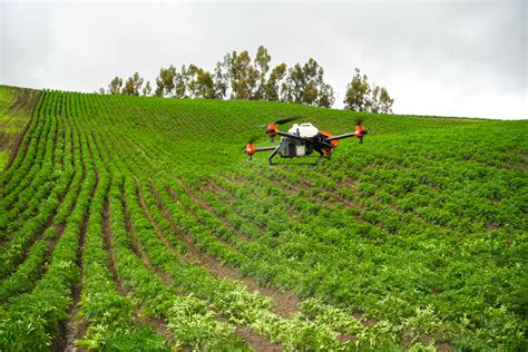 Los Drones Xag Pueden Detectar Y Monitorear Malezas En Los Cultivos De