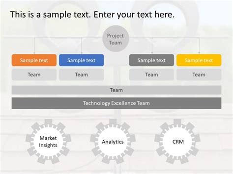 Project Organization Structure Powerpoint Template