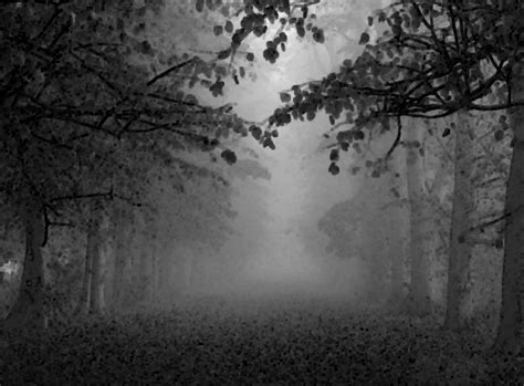 图像处理之去雾——基于图像暗通道的去雾算法bigbigtree911的博客 Csdn博客