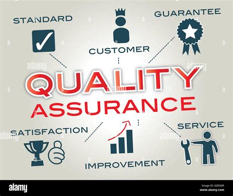 Quality Assurance Infographic With Keywords And Icons Stock Vector Image And Art Alamy