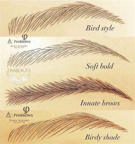 Zinabeauty 🇬🇧 On Instagram “practicing Different Styles Of Eyebrows 🏻