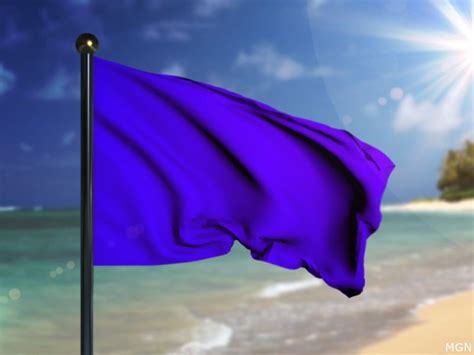 If You See A Purple Flag On A Beach Youd Better Know What It Means Vibes Corner