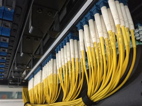 Fiber Optic Assemblies