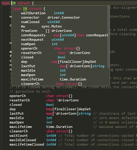 Type Hint Alignment · Issue 2064 · Microsoftvscode Go · Github