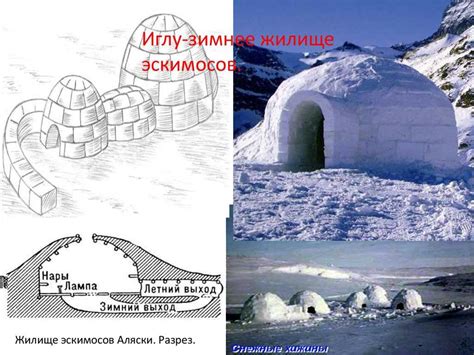 Visualizing An Igloo A Diagram Of Its Structure