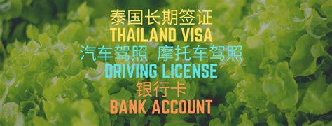 泰国税务会计培训中心 企业所得税 Corporate Income Tax 当以公司形式来经营生意时，公司是一个法人，需交企业所得税。 赚到的“收入”减去“支出”得出来的“利润”拿去跟税率