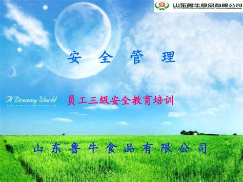 三级安全教育培训 word文档在线阅读与下载 无忧文档