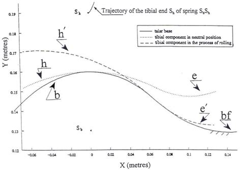Analytical Representation Of The Cycloidal Motion Rolling Without Download Scientific Diagram
