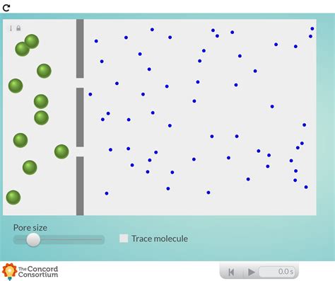 Diffusion And Osmosis Biology 1101 Course Hub