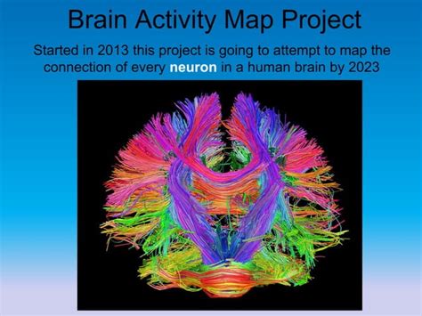 3 1 Neuron Powerpointppt 3 1 Neuron Powerpointppt