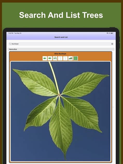 Android 용 Forest Tree Identification APK 다운로드