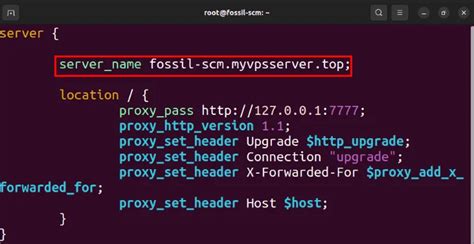 How To Install Fossil Version Control System In Linux