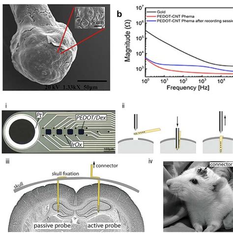 Neural Probes Based On Alternative Pedot Dopants Or Composites A