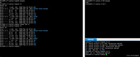 linux基础——权限 liunx获取权限 csdn博客