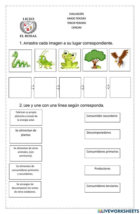 Evaluación De Ciencias Grado 3 Worksheet Clasificacion De Seres Vivos Lecciones De Lectura