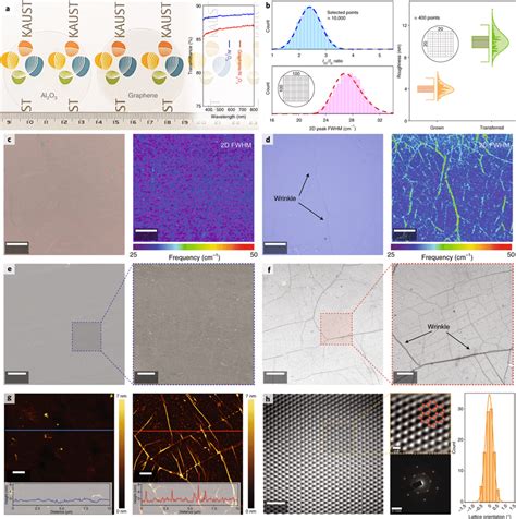 Synthesis Of Wafer Scale Single Crystal Graphene Film On Al2o3 0001 A Download Scientific