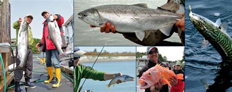 Fish Porn Contest Fishing With Rod