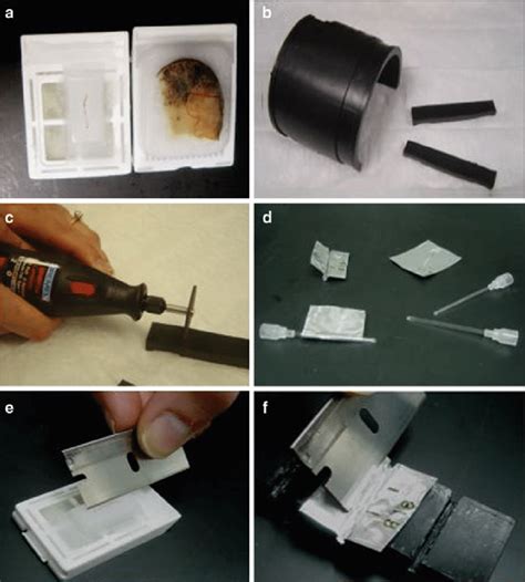 Preparation And Use Of The Biopsy Tissue Microarray Template A Color Download Scientific