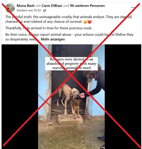 Fakebusters Mona Bash Scammer