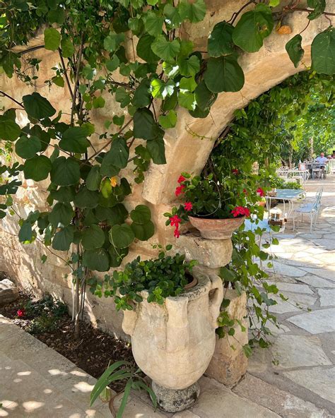 Grace Brackstone Curve Grace Brackstone Curve Model