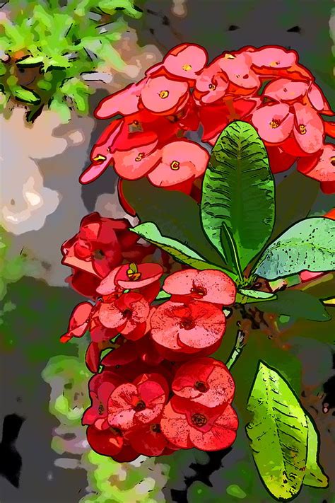 Red Dot Flowers Photograph By Thomas Sabol Pixels