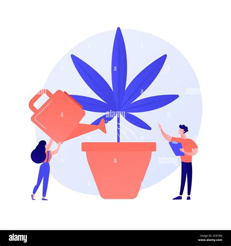 Hemp Growing Vector Concept Metaphor Stock Vector Image And Art Alamy